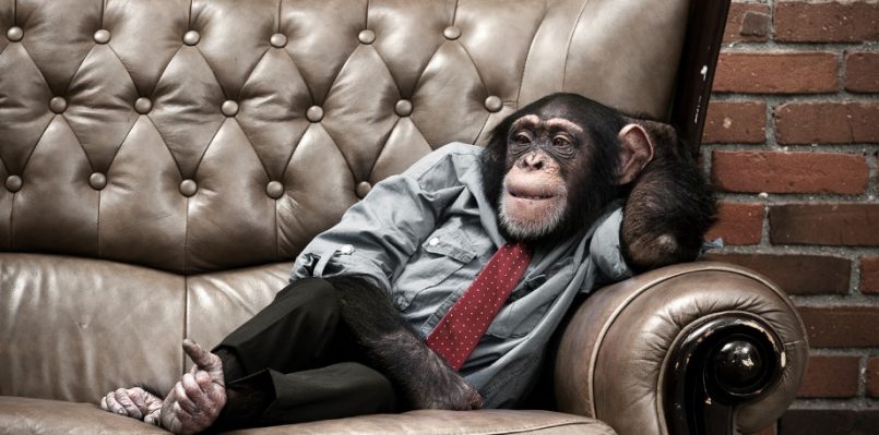 Employee Management Tips: Rid Yourself of Monkeys
