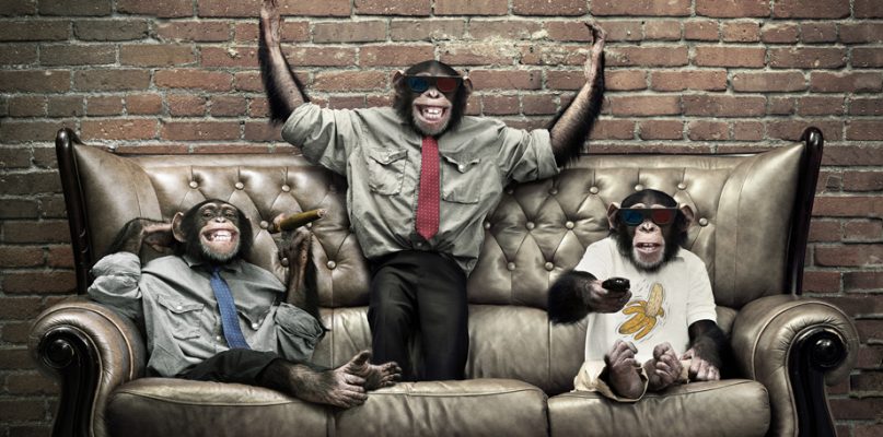 Managing the Monkeys at Work | Jody Michael Associates